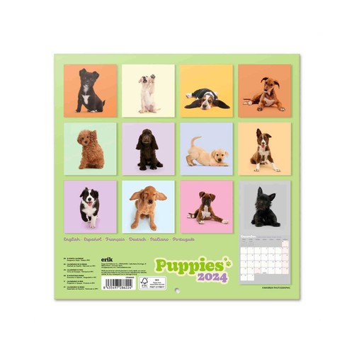 Calendario 2024 30X30 Dogs Warren Photographic - Alcampo ¡Haz tu Compra ...