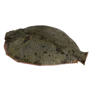 Rodaballo grande mostrador - Entero limpio - Alcampo ¡Haz tu Compra ...